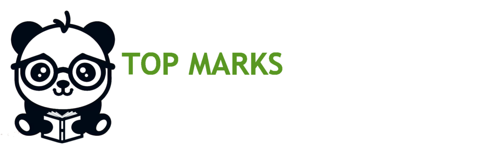 Top Marks Education - 满分教育 | Online Learning | PLSE | Chinese Tutoring